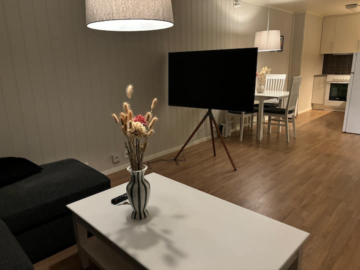 Leilighet I Tromsdalen - Tromsø