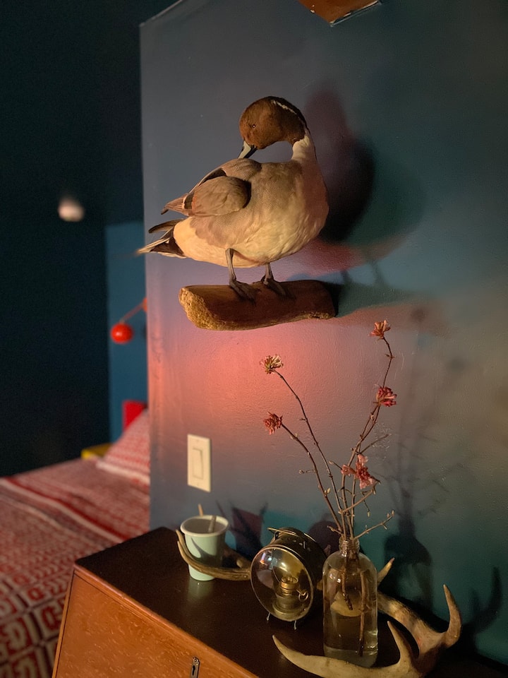 Cornus House - Portland, OR