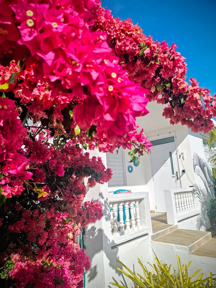 Paraíso Jobos Nancy Inn - Isabela