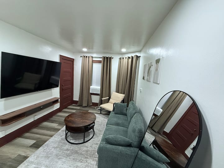 South Wedge 3br—your Urban Oasis! - Rochester, NY