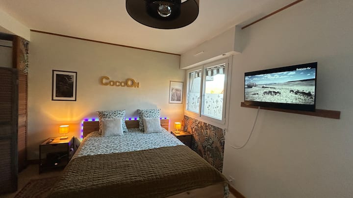 Vue Montagnes, Tout Confort, Lit 160, Park Gratuit - Saint-Jorioz