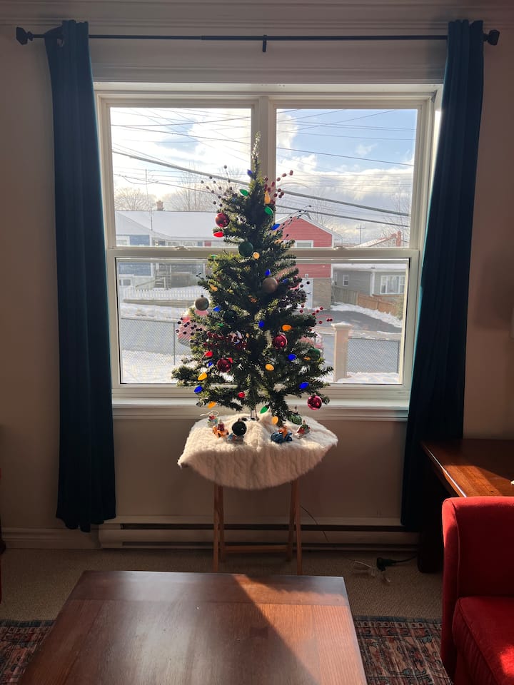 3 Bedroom Beauty Near Hospital & Mun - Newfoundland and Labrador