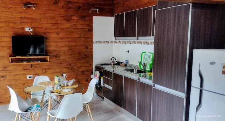 Sauce - San Martin de los Andes