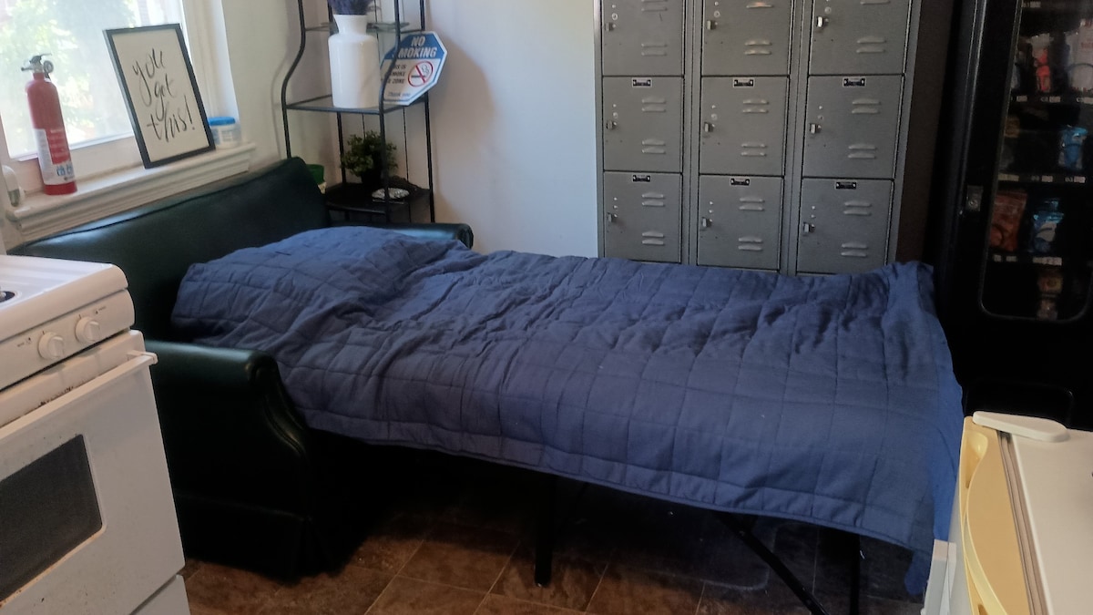 green pull out couch - Houses for Rent in Alexandria, Virginia, United ...