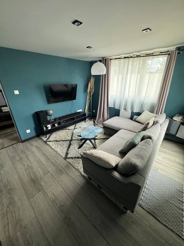Appartement Cosy Et Calme/parking/exterieur - Besançon