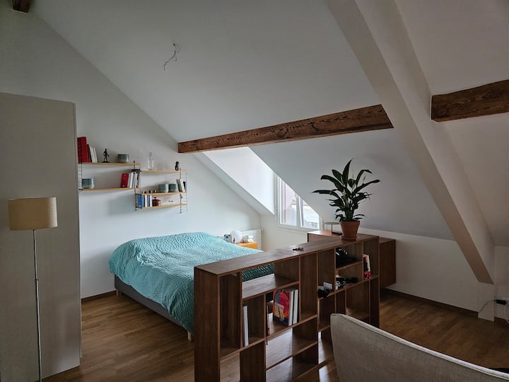 Grand Studio, Quartier Central - Lausanne