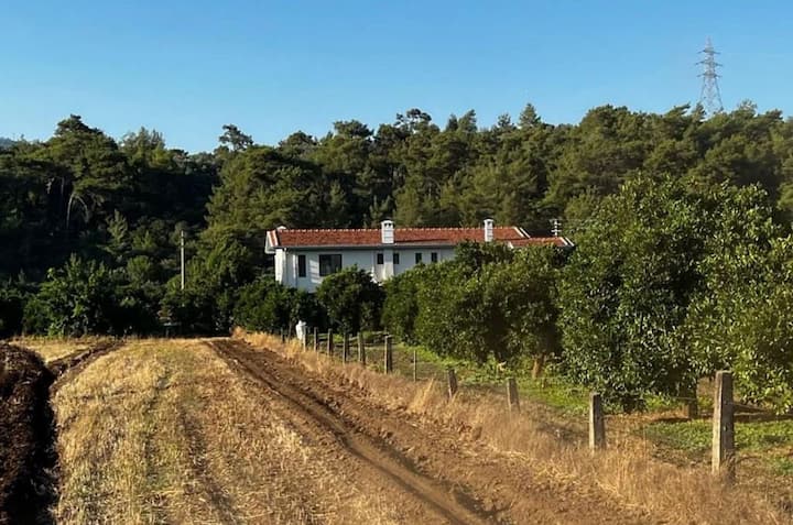 Milat I- Eşsiz Tatil Deneyimi - Akyaka