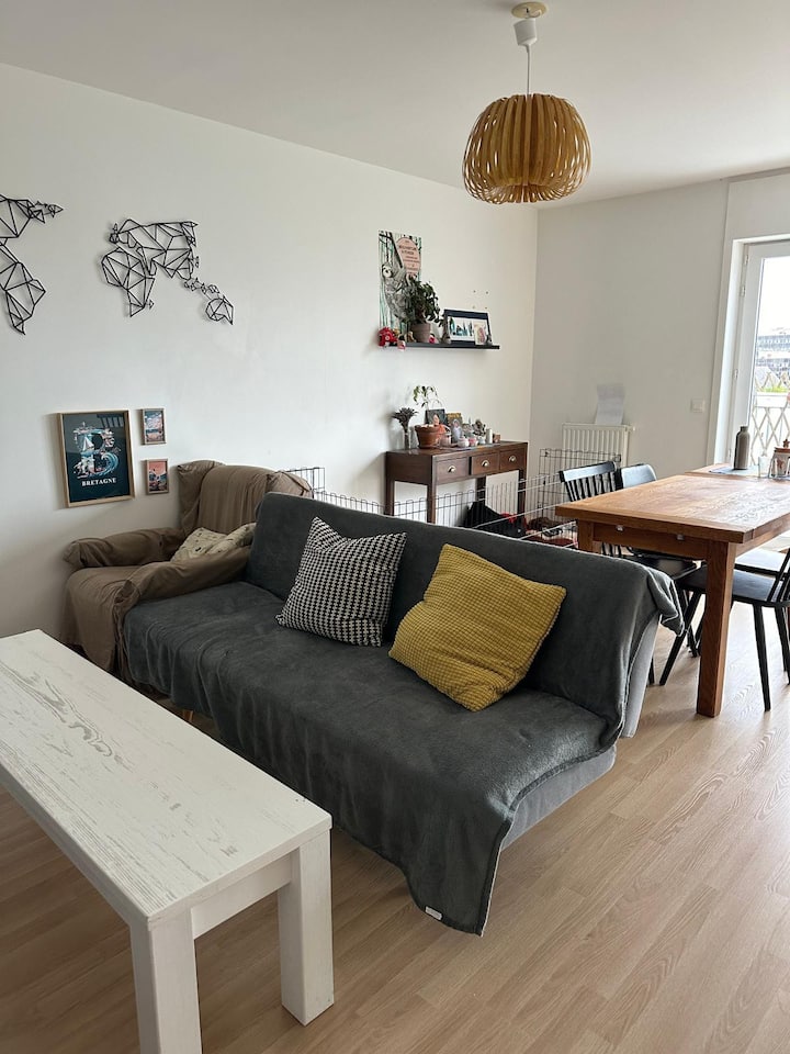 Appartement ÎLe De Nantes - Nantes