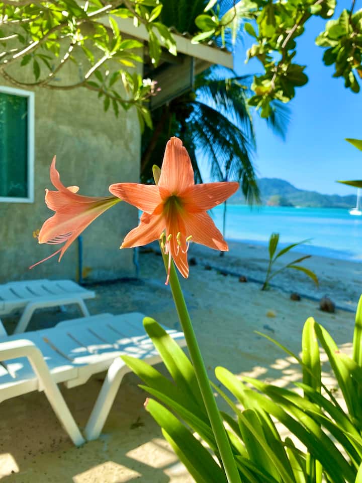 New Beach Bungalow With Magical Sunset - Phuket