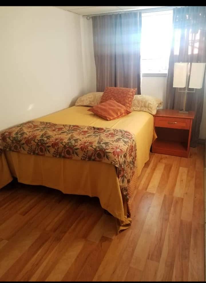 1 Bedroom Basement Apartment - Oakville