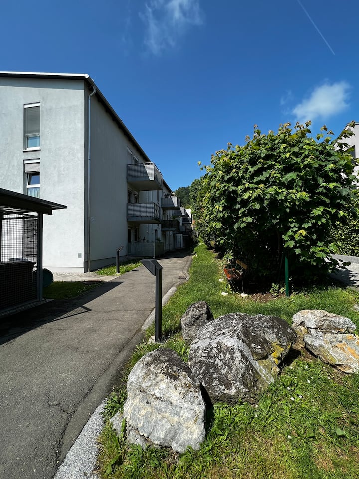 Appartamento In Zona Residenziale - Graz