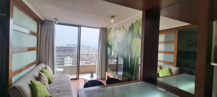 Apartamento En Santiago -Bellas Artes - Santiago