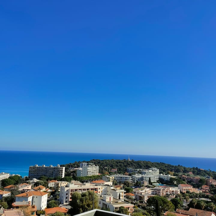 Vue Mer Exceptionnelle à 180° - 芒通