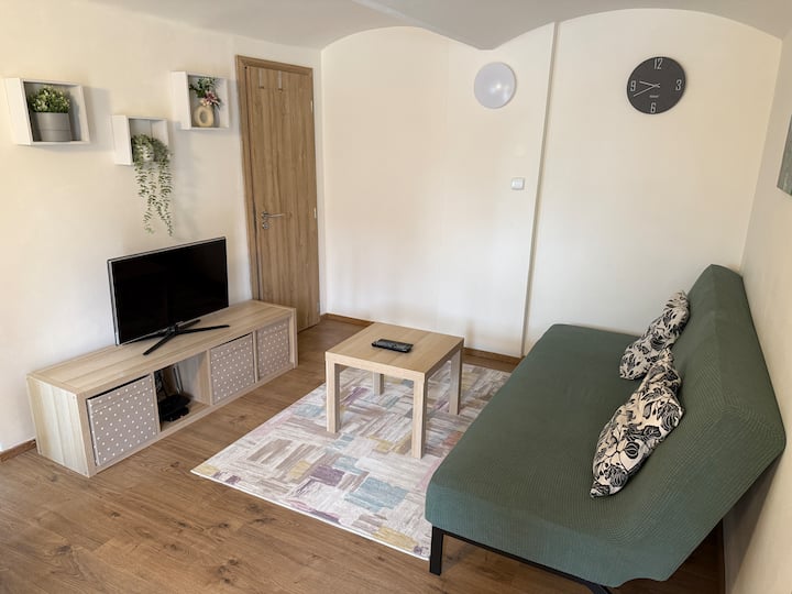 Zoubkova Apartment - 2 Rooms - Brno