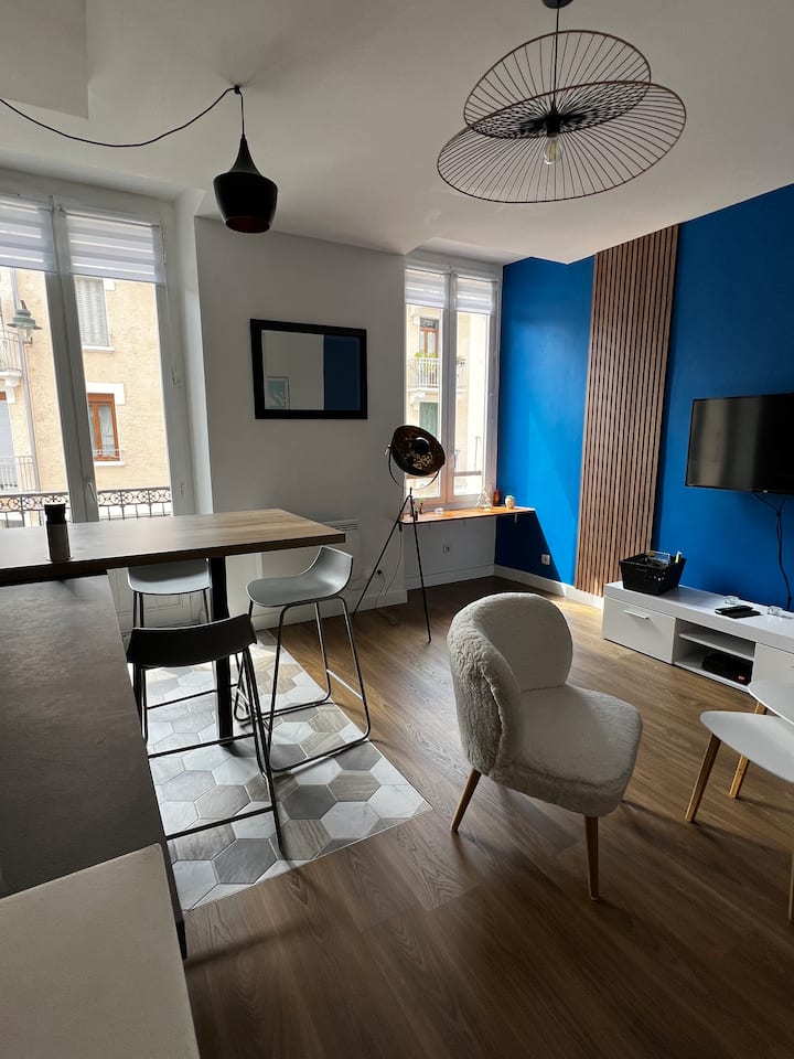 Le Flamboyant - 3 éToiles - Wifi - Central - Cosy - Aix-les-Bains