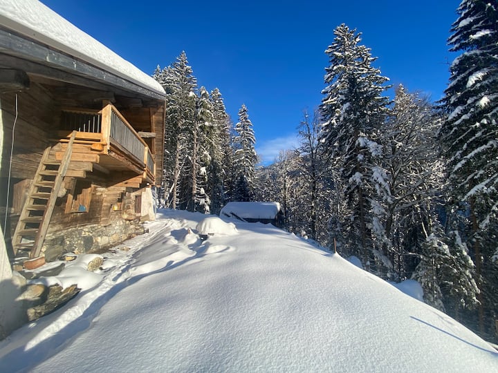 Chalet Familial Au Cœur De La Forêt Col Des Aravis - La Clusaz