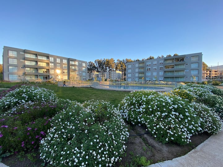 Bello Departamento En Papudo - Papudo