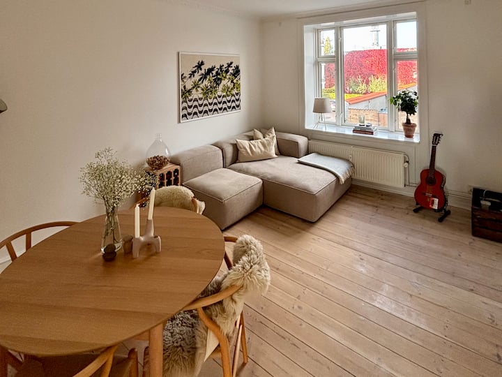 Classic Copenhagen Apartment - Copenhaguen