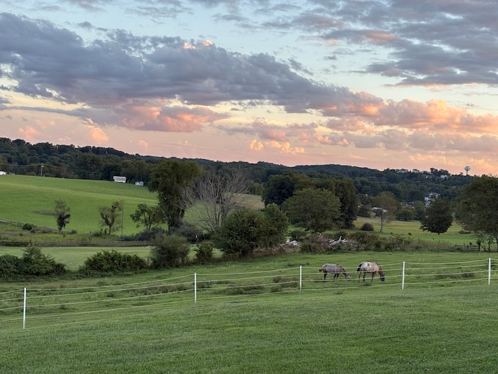 Belle Haven Hide-a-way - Blacksburg