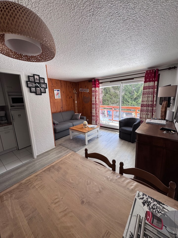 Au Calme Aux Pieds Des Pistes - Les Deux Alpes