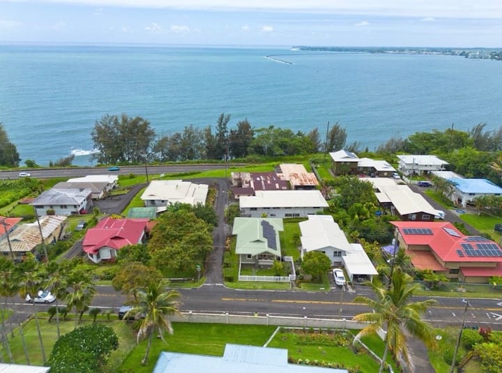 Stunning Hilo Hale W Ocean Views - Hilo, HI