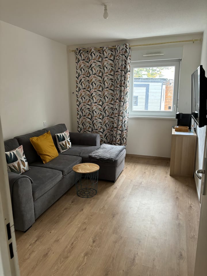 Maison Familiale 7 Pers. Jardins & Bbq Tram Centre - Strasbourg