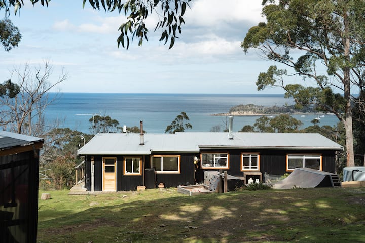 The Black Cockatoo - Tasman National Park