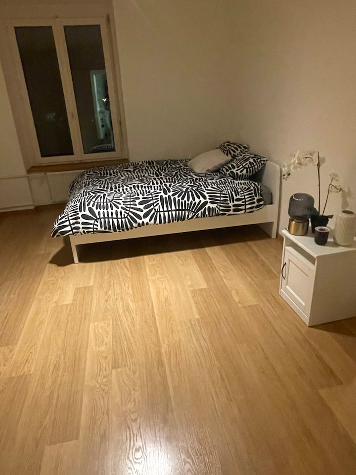 Modern And Very Spacious Room! - Kloten