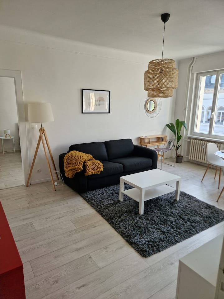 Le Cosy Hyper Centre - Miluza