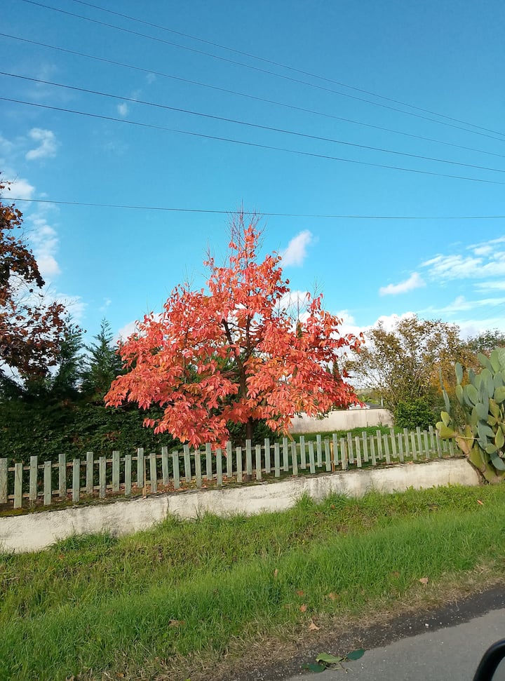 Maison Dans Un Quartier Paisible - Villeneuve-sur-Lot
