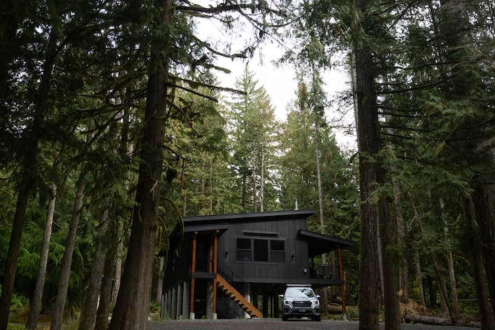 Raven's Nest @Mt Baker- Modern-new-ev- Hot Tub! - Glacier, WA