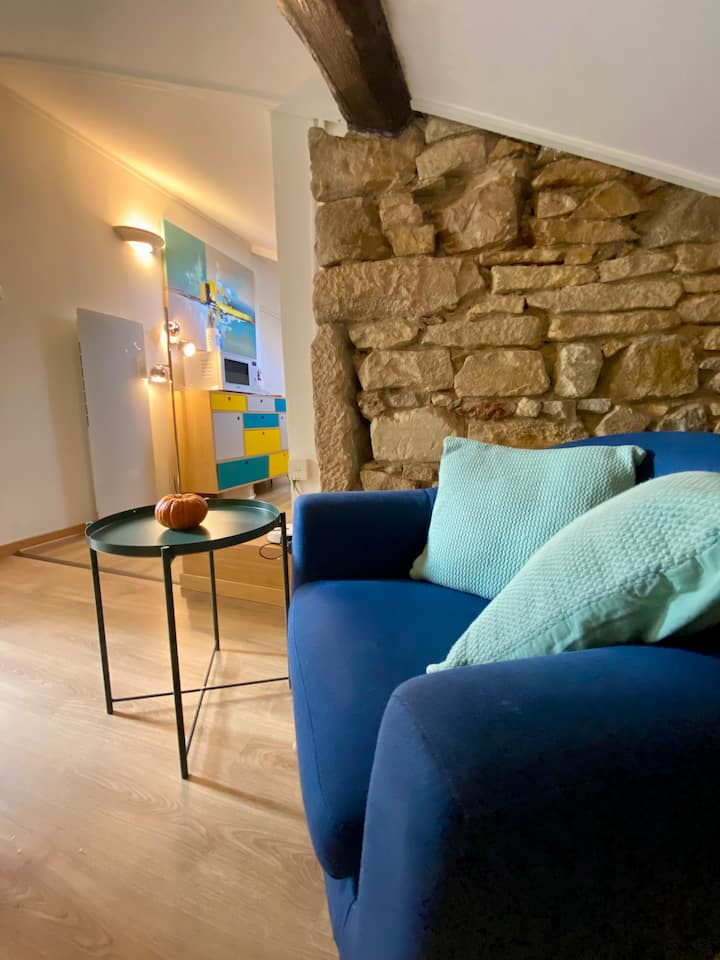 Berges Du Rhône-2lits Doubles-climatisation - Lyon