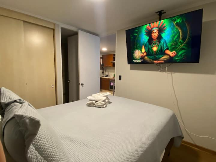 Hermoso Departamento En Santiago - Santiago