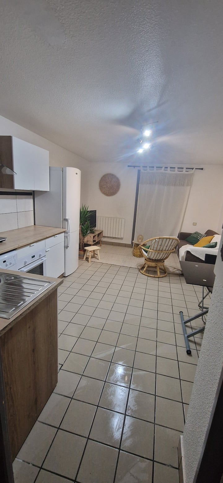 Au Coeur De Vizille - Séchilienne