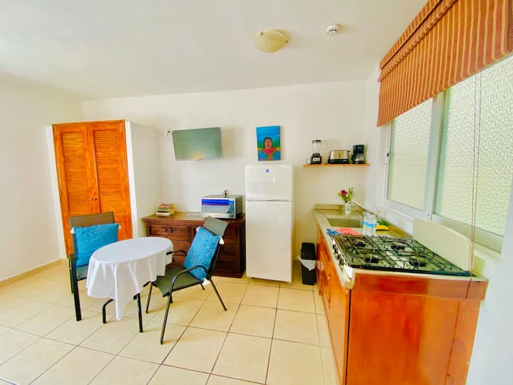 Studio 12 Serene 1/2block From The Beach‼️ - Puerto Vallarta