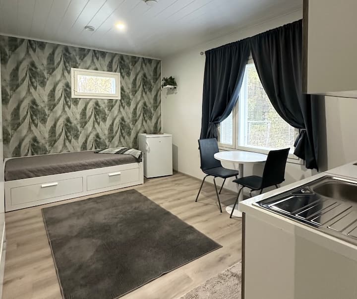 Yksiö Rauhallisessa Pihapiirissä - Lahti