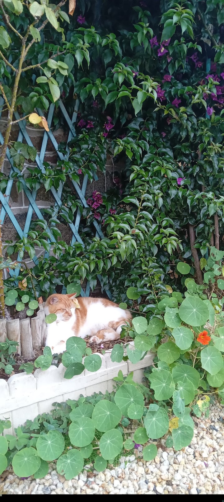 Le Refuge, Le Bien Nommé ! - Binic