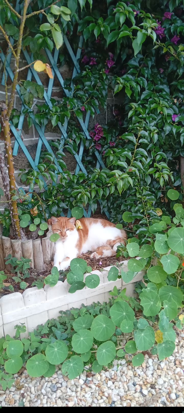 Le Refuge, Le Bien Nommé ! - Côtes-d’Armor