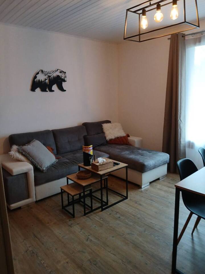 Appartement Font-romeu - Font-Romeu-Odeillo-Via