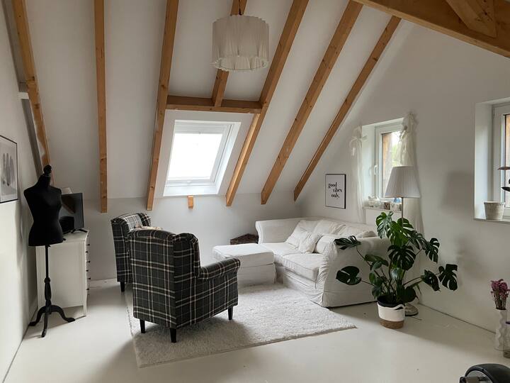 Charmante Dachgeschosswohnung - Krefeld