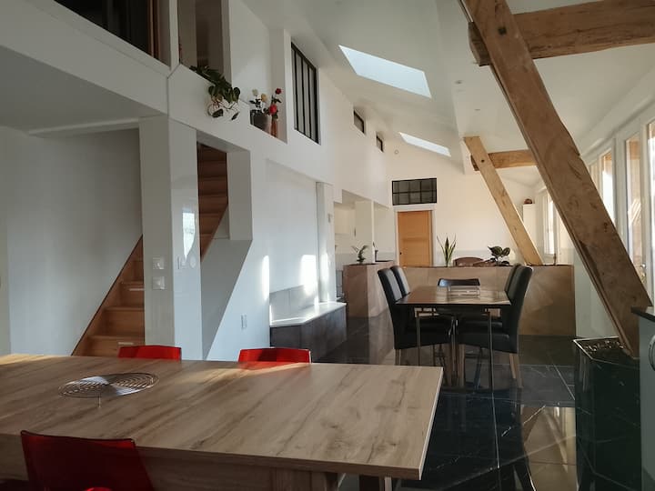 Grand Triplex Lumineux Calme Et Confortable - Seyssel