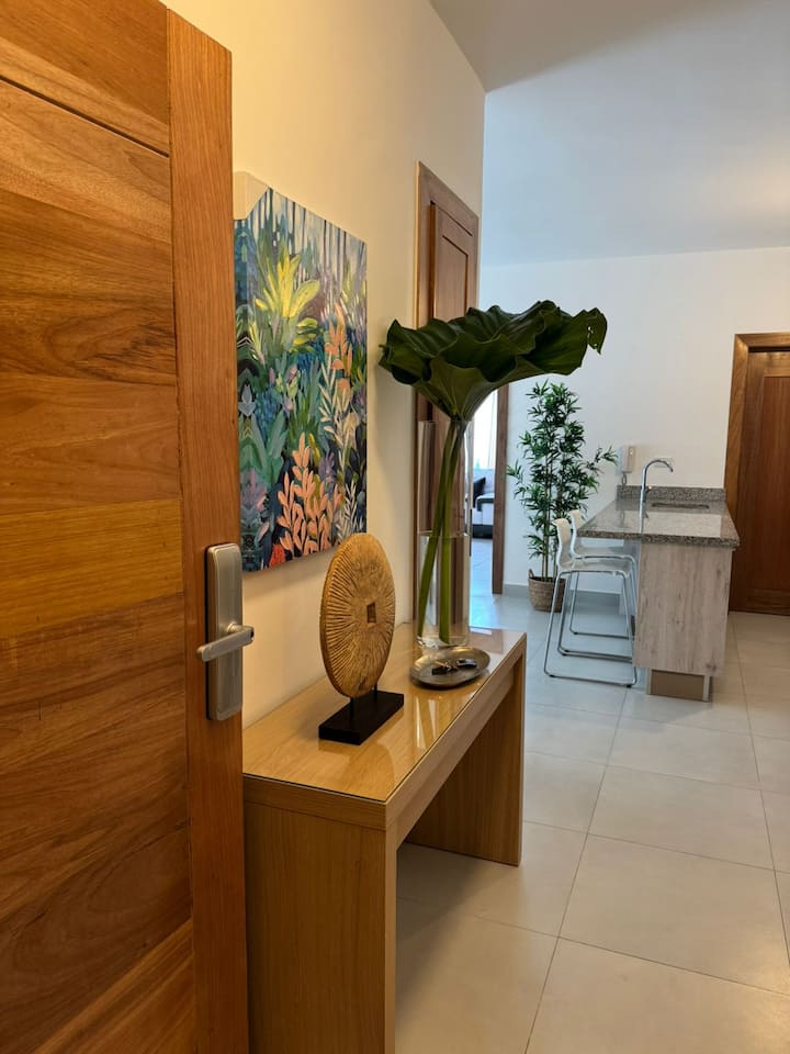 Lovely One Bedroom In Santo Domingo City Center - Santo Domingo