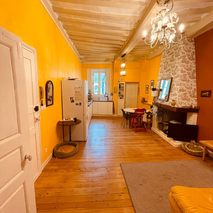 Appartement Familial Au Cœur Du Vieux Rennes - Rennes