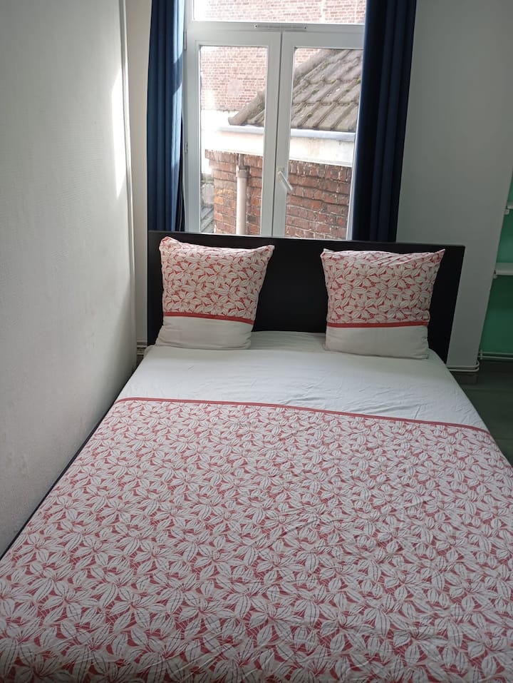 Studio Rénové Proche Métro - Lille