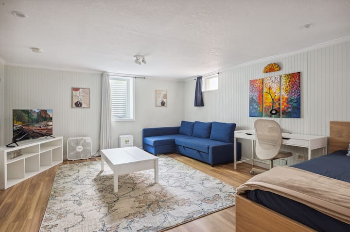 Comfy One Bedroom Apartment - Minneapolis, MN