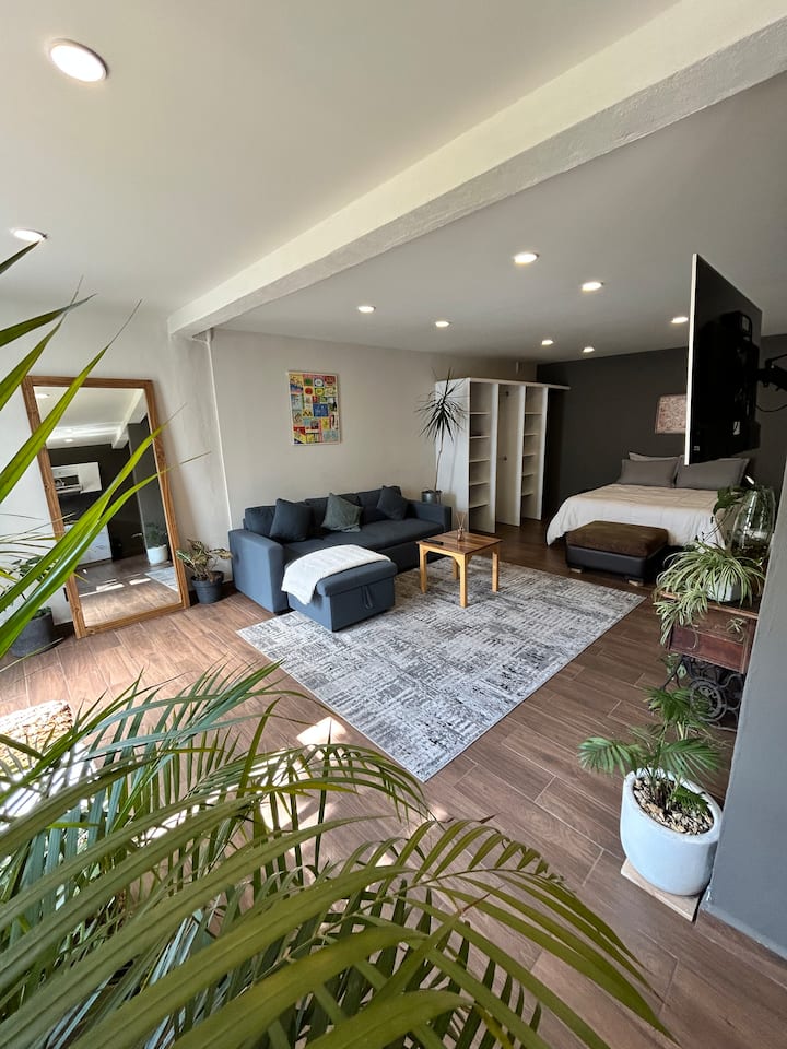 Acogedor Loft Ejecutivo 2 En Metepec Centro - Metepec