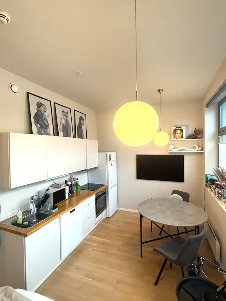 Flott Sentral Leilighet! - Oslo