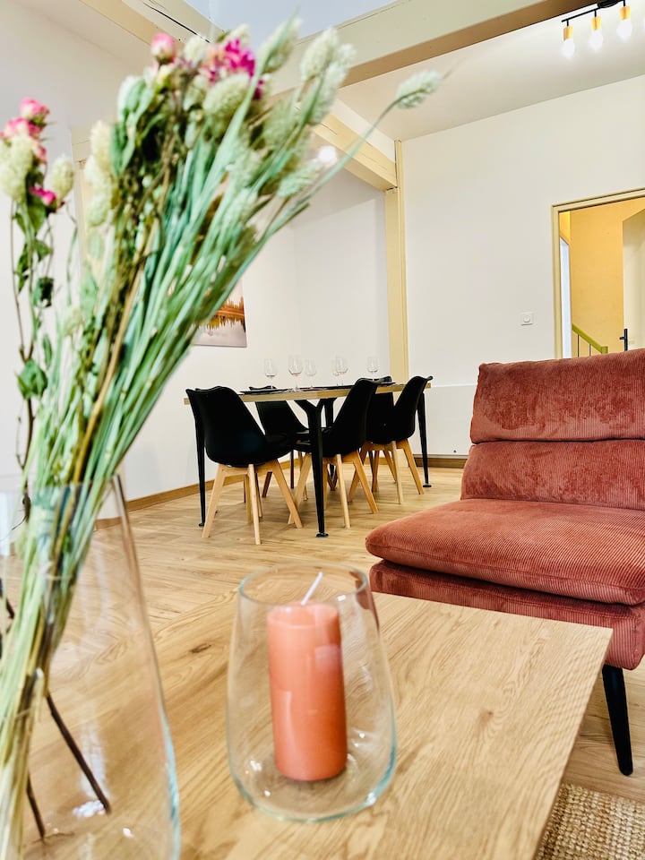 Le Grand Logis De Jacquemart ~ Central ~ Neuf - Romans-sur-Isère