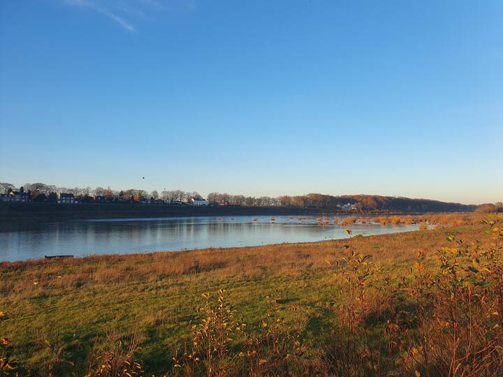 Aan De Maas - Maastricht