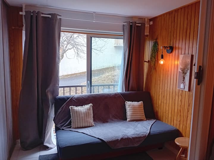 Appartement Cosy  Pied Des Pistes. Wifi. Netflix - Matemale